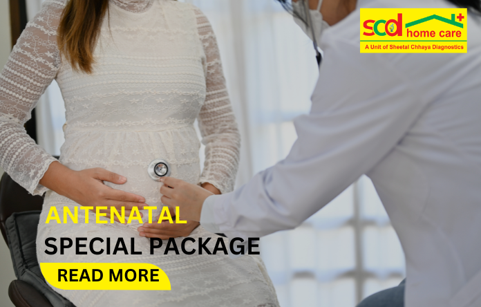 SCD Home Care | +918810511367 | SCD Home Care, SCD Home Care Dwarka ...